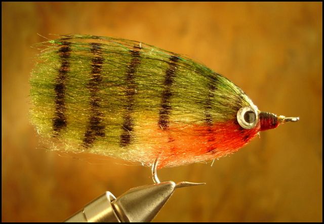 Bluegill streamer | Bluegill, Panfish, Fly fishing